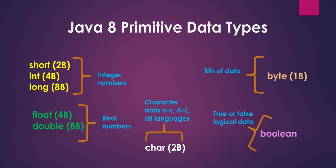 Last Minute Java Programming Primitive Data Types Tutorial ExamTray