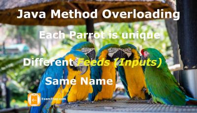 method overloading in java tutorial | ExamTray method overloading in java tutorial | ExamTray